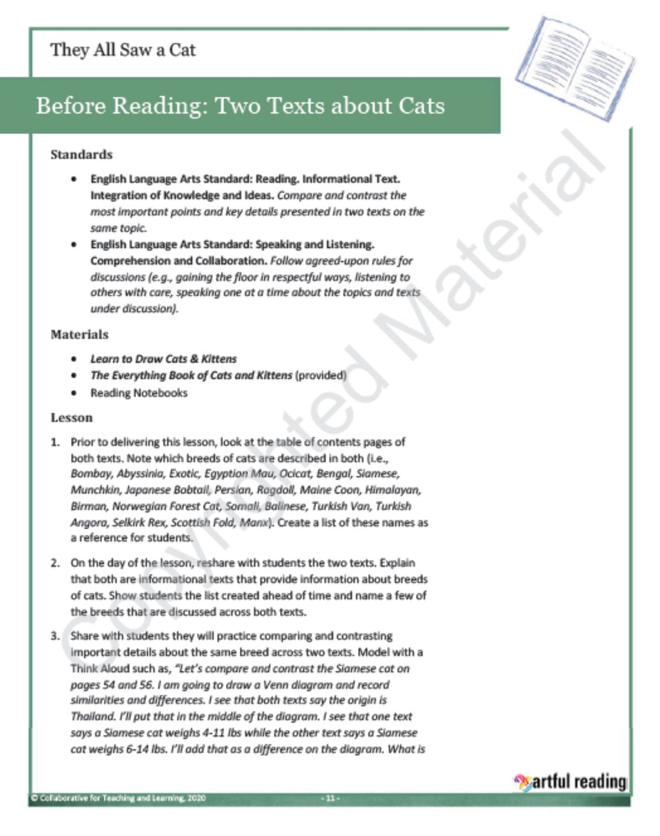 They All Saw a Cat (3rd Grade: Series 2) – ctlonline